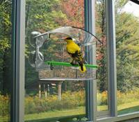 China Acrylic Plexiglass Window Bird Feeder Easy Install Custom Logo With Removable Tray for sale