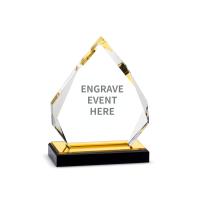 China 6'' Clear Diamond Acrylic Recognition Awards Trophy Plaque Customized Engraving for sale