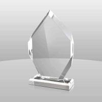 China Custom Cut Book Shaped Clear Acrylic Recognition Awards Plaque For Reading Event for sale