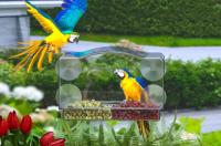 China Functional Acrylic Bird Feeder Sustainable Window Pet Feeders OPP Bag Packing Custom for sale