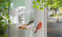 China Strong Suction Cups Plexiglass Window Bird Feeder Transparent Acrylic Birdhouse for sale