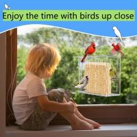 China Window Acrylic Bird Feeder Hanging Mount Transparent Plexiglass Bird House OEM for sale