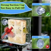 China Window Acrylic Bird Feeder Hanging Mount Transparent Plexiglass Bird House OEM for sale