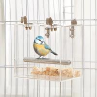 China OEM Transparent Lucite Acrylic Bird Feeder With Automatic Seed Dispenser Easy Install for sale