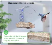 China Clear Acrylic Window Bird Feeder Large Viewing Bird House With Strong Suction Cups for sale