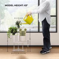 China Easy Assemble Lucite Acrylic Plant Stand , Acrylic Flower Display Stand Shelf for sale