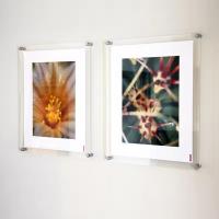 China Decoration Floating Acrylic Photo Wall Frames 13'' X 16'' With Metal Standoffs for sale