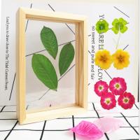 China Creative Solid Wood and Acrylic Double-Sided  Plant Specimen Transparent Frame Original Wood Color 3D Picture Frame Background Wall for sale