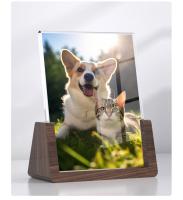 China Creative Acrylic Photo Frame with Walnut Wood U-Stand  Minimalist Beechwood Tabletop  Photo Display for 6-inch, 7-inch, and 8-inch Photos for sale