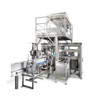 China Manufacturer Fully Automatic Packing Machine Granular Packing System for Open Bag Packing Machine for sale