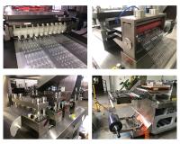 China BlisTop-260Pro Flat Plate Blister Packing Machine Automatic Medium Speed Blister Packaging Equipment for Healthcare Products for sale