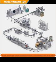 China 2400mm Liquid Filling Machine 5ml Water Bottle Packing Machine for sale