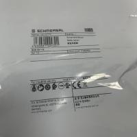 China Schmersal BNS 33-11Z Magnetic Safety Switch for sale