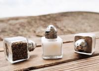 China 17ml Capacity 3-Piece Glass Condiment Shaker Set 30×30×45mm with Custom Branding Options for sale