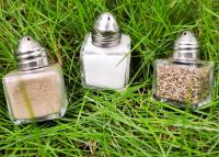 China 17ml Glass Condiment Shaker Set with Metal Lids - 30×30×45mm Modern Design for Restaurants & Home Use for sale