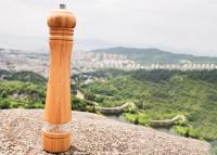 China Large Wooden Salt Pepper Mill 223g Ceramic Grinder Acrylic Modern Design 26.3cm for sale