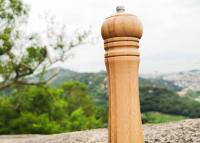 China Large Wooden Salt Pepper Mill 223g Ceramic Grinder Acrylic Modern Design 26.3cm for sale