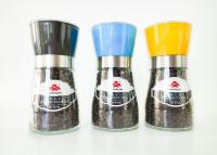 China Customizable Glass Plastic Spice Grinder Reusable Refillable Manual 100ml for sale