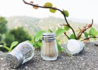 China 10ml Glass Salt and Pepper Shaker Set 3 Pack D40xH28mm Transparent Seasoning Shakers for Camping for sale