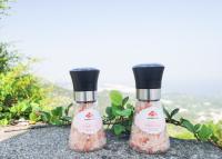 China 80ml Transparent Glass Salt Pepper Grinder with Adjustable Ceramic Grinding Head for sale