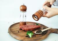 China ABS Salt and Pepper Grinders 20.5cm with Ceramic Core for Spices for sale