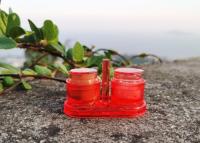 China One-off Plastic Condiment-holding Shaker Small-capacity, Multicolored, User-friendly for sale