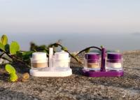 China Disposable Plastic Salt and Pepper Shakers 1.0g 0.2g Small Capacity Seasoning Bottles for sale
