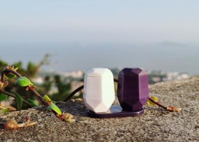China Disposable Plastic Salt and Pepper Shaker Set 1g Salt 0.3g Pepper Portable Travel Seasoning for sale