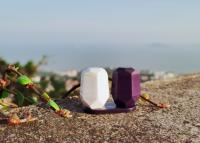China Disposable Plastic Salt and Pepper Shakers 1g Salt 0.3g Pepper for Travel Camping Hotel for sale