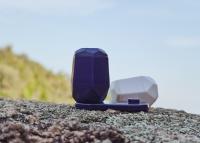 China Disposable Plastic Salt and Pepper Shaker Set 1g Salt 0.3g Pepper for Hotel Aviation Travel for sale