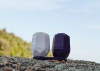 China Disposable Plastic Salt and Pepper Shaker Set 1g Salt 0.3g Pepper for Hotel Aviation Travel for sale