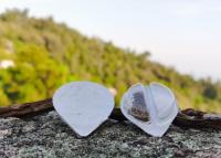 China Disposable Plastic Condiment Box 1g Salt 0.3g Black Pepper for Travel Camping for sale