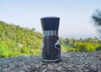 China 170ml Seasoning Grinder Plastic Stainless Steel Head Ceramic Core Reusable Easy Fill Glass Jar for sale