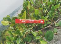 China Customizable 5g Disposable White Sugar Sticks for sale