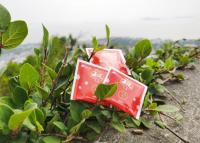 China Customizable Disposable White Sugar Packets 5g Each for Commercial Use for sale