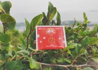 China 5g Single-use White Sugar Packets With Customizable Wrapping for sale