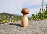 China 176g Adjustable Salt Pepper Grinder Mushroom Design Acacia Wood 11.5cm for sale