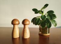 China Acacia Wood Salt and Pepper Grinder Set with Adjustable Ceramic Core - 2 Piece Kitchen Mill with Wooden Tray for sale