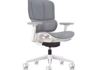 China H2 Ergonomic Office Chair with 4.0 Dual-Back Design for Dynamic Spinal Support and Multiple Size Options for sale