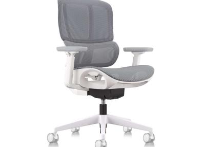 China H2 Ergonomic Office Chair with 4.0 Dual-Back Design for Dynamic Spinal Support and Multiple Size Options for sale