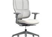 China H2 Ergonomic Office Chair with 4.0 Dual-Back Design for Dynamic Spinal Support and Multiple Size Options for sale