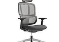 China H2 Ergonomic Office Chair with 4.0 Dual-Back Design for Dynamic Spinal Support and Multiple Size Options for sale