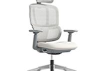 China H2 Ergonomic Office Chair with 4.0 Dual-Back Design for Dynamic Spinal Support and Multiple Size Options for sale