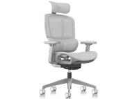 China H2 Ergonomic Office Chair with 4.0 Dual-Back Design for Dynamic Spinal Support and Multiple Size Options for sale