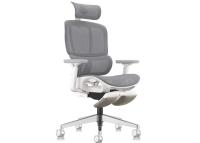China H2 Ergonomic Office Chair with 4.0 Dual-Back Design for Dynamic Spinal Support and Multiple Size Options for sale