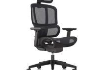 China H2 Ergonomic Office Chair with 4.0 Dual-Back Design for Dynamic Spinal Support and Multiple Size Options for sale