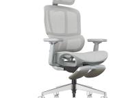 China H2 Ergonomic Office Chair with 4.0 Dual-Back Design for Dynamic Spinal Support and Multiple Size Options for sale