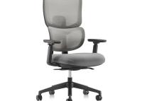 China H7 Task Office Chair with Multi-level Adjustable Lumbar Support, 128mm Deep Neck Support, and Double-layered High-elastic Seat Cushion for sale