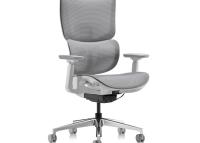 China H7 Task Office Chair with Multi-level Adjustable Lumbar Support, 128mm Deep Neck Support, and Double-layered High-elastic Seat Cushion for sale