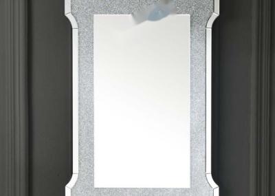 China Nowles 80X120X3CM Wall Mounted Decorative Mirror Mirrored Wall Accent for sale